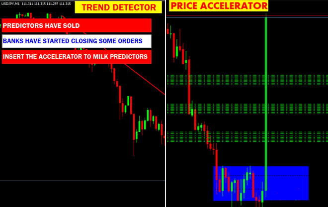 MEMO PDF - FOREX SECRET WORLD